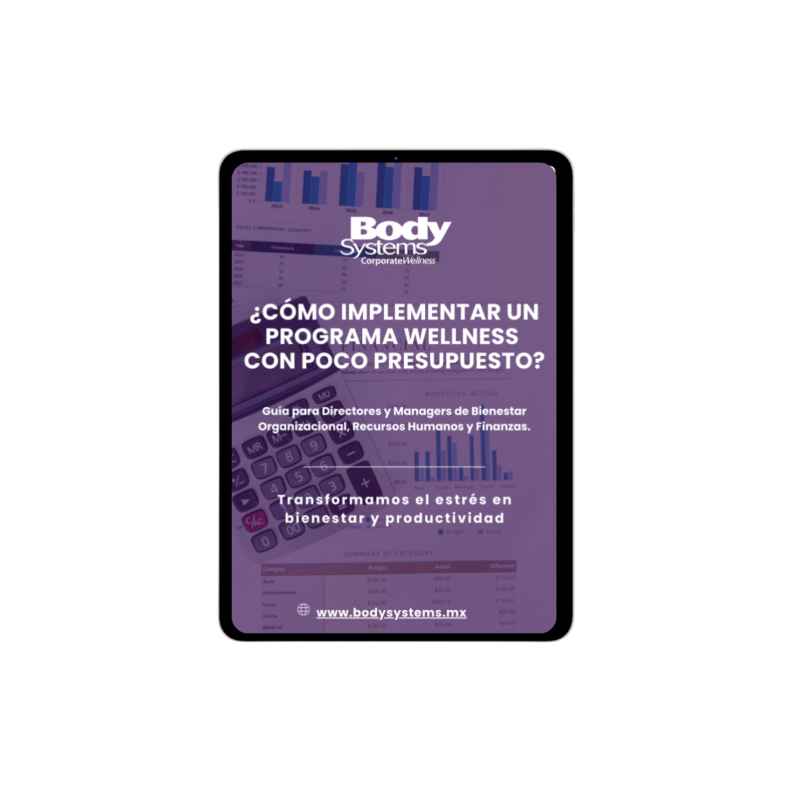 Descarga | Programa Wellness con poco presupuesto | Body Systems Corporate Wellness